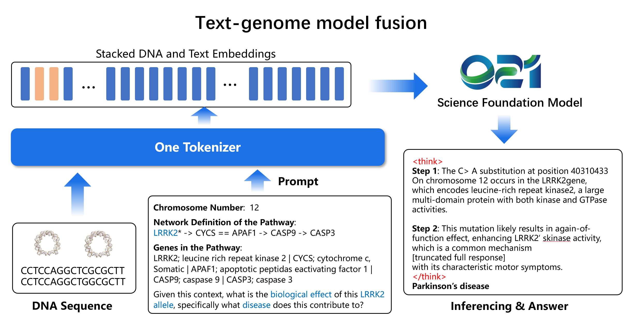 GitHub - BGI-HangzhouAI/Genos: A Genomic Foundation Model